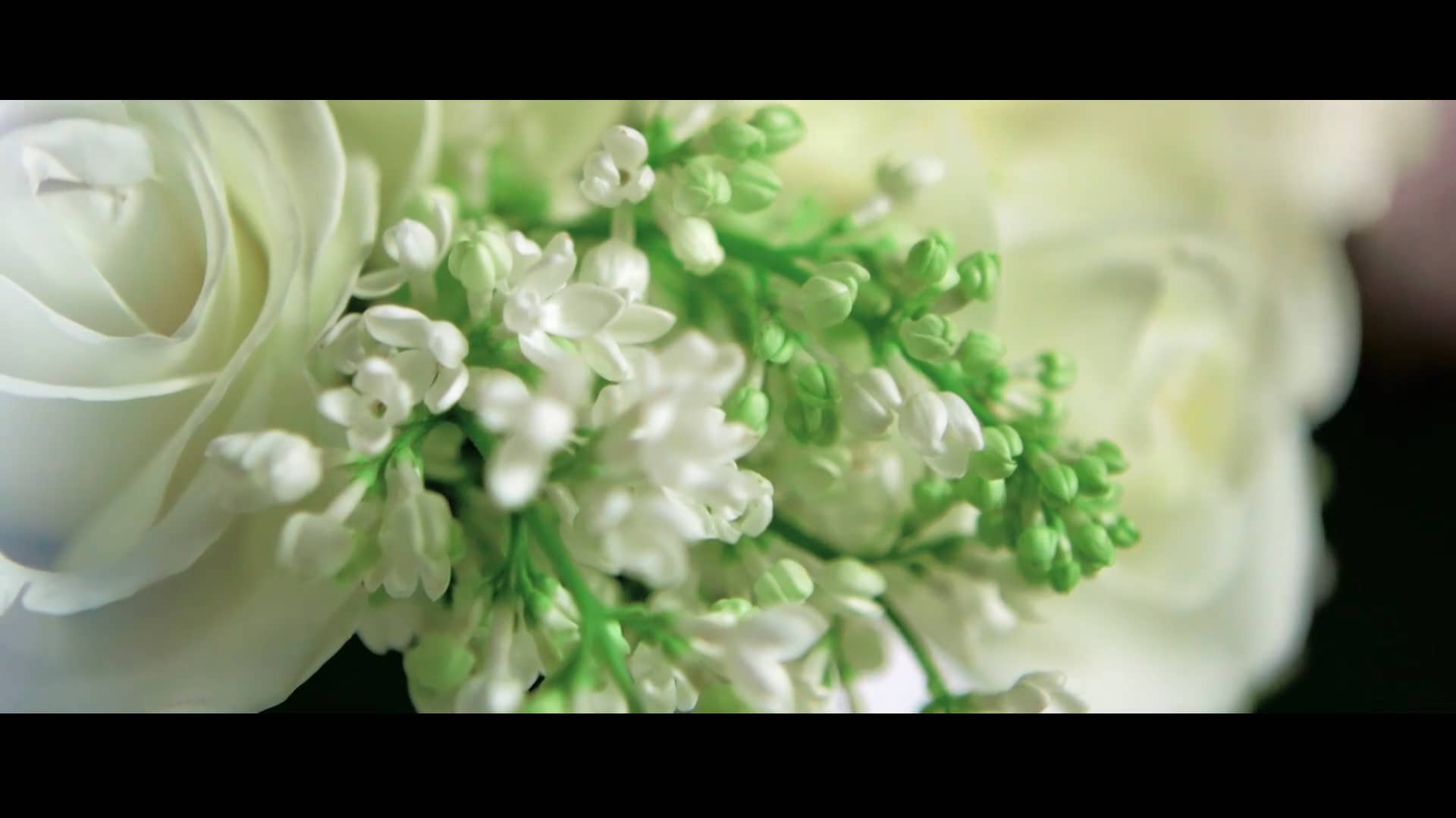 A Conversation with Ilias Ermenidis: EB Florals' CELESTIAL Fragrance on ...