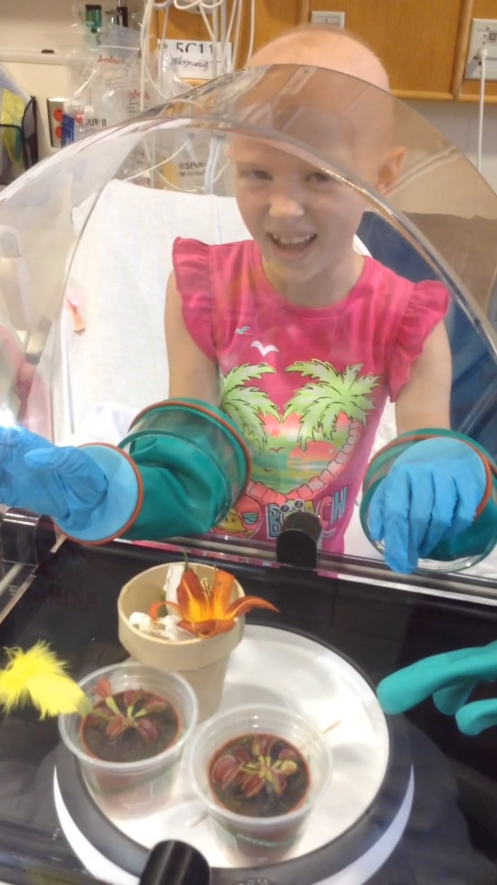 Wondersphere - Venus Flytrap on Vimeo