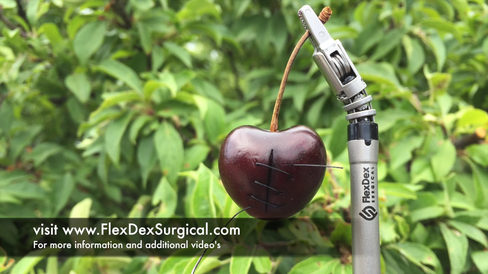 Suturing a Cherry on Vimeo