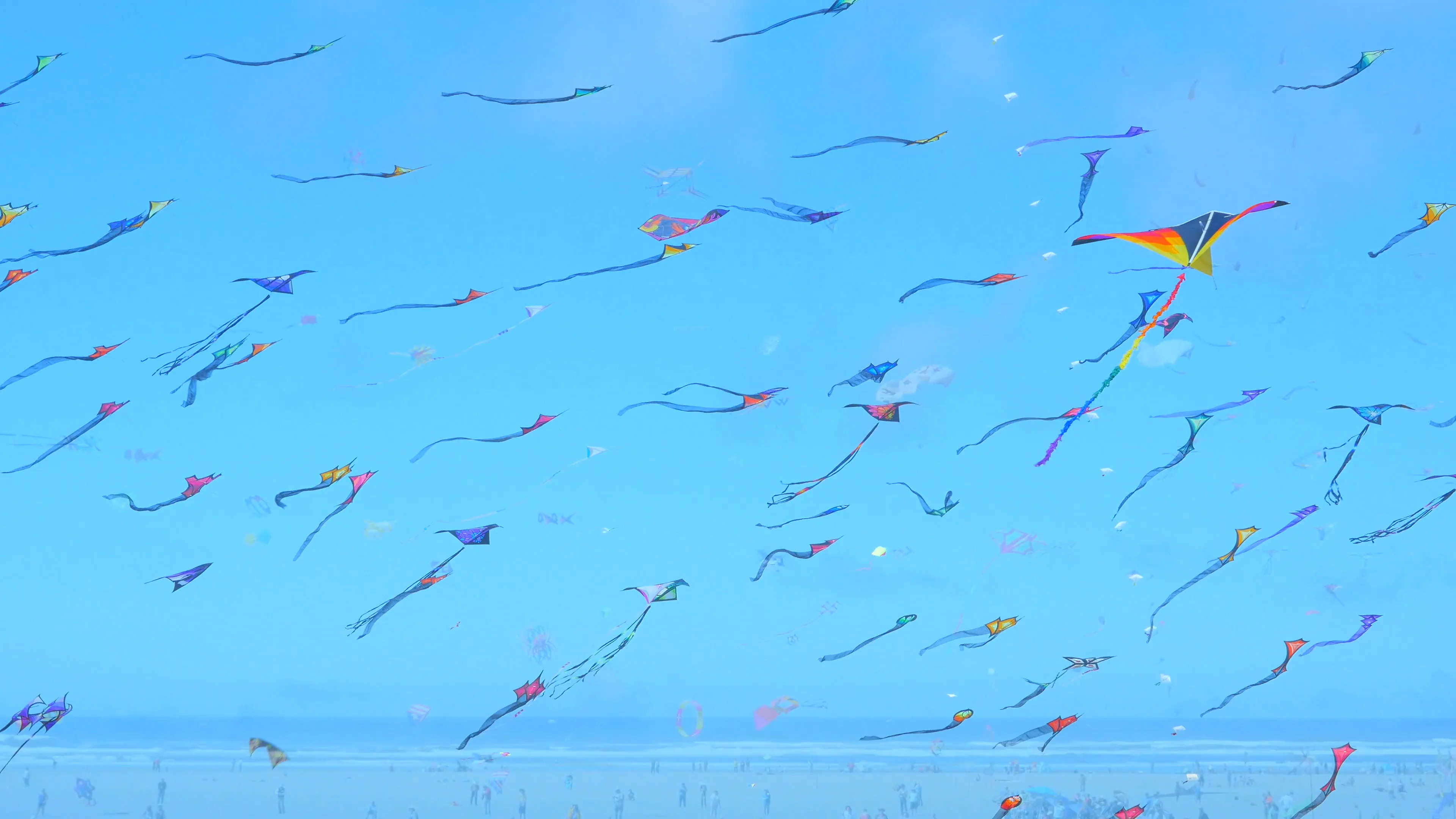 WagJag - THS 4K Kite Festival Trailer on Vimeo