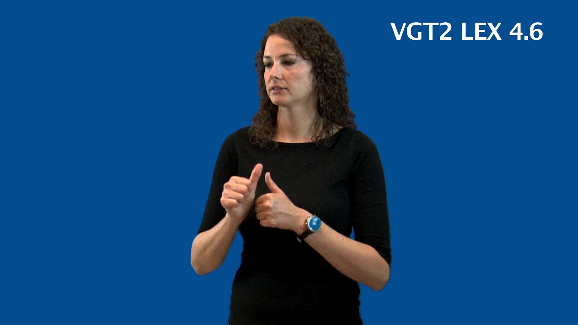 VGT2 Lex 4.6 on Vimeo