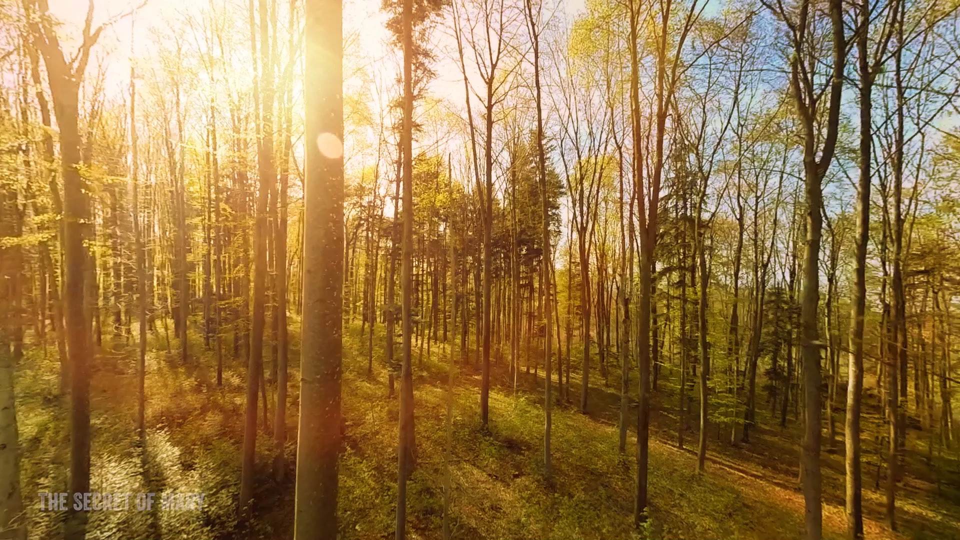 The Secret of Mary HD on Vimeo