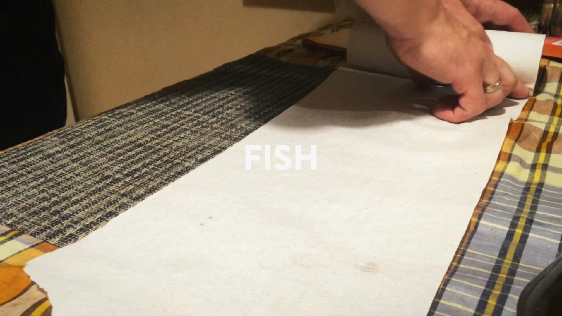 Fish on Vimeo