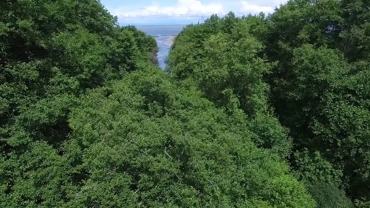 River's Journey - An Aerial View of the Dungeness River