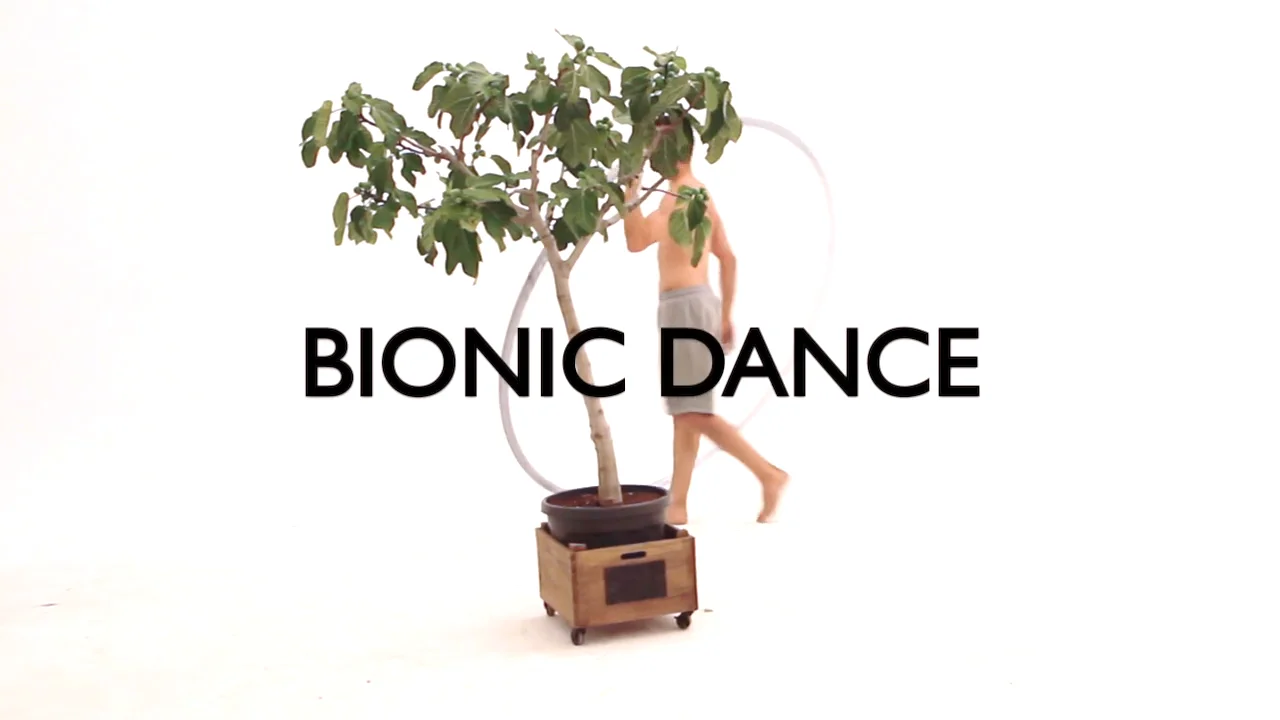 BIONIC DANCE FESTIVAL - TREE LOVER on Vimeo