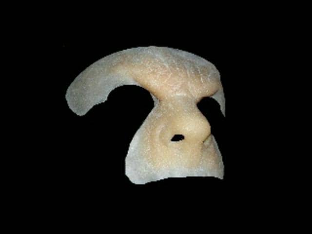 Werewolf Transformation - How to become the Wolfman with Prosthetics ...