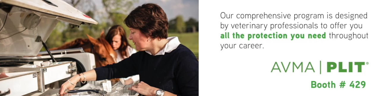 AVMA PLIT Combined MTN Preview 3 on Vimeo