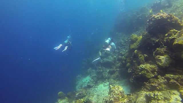 Scuba Diving Channel on Vimeo