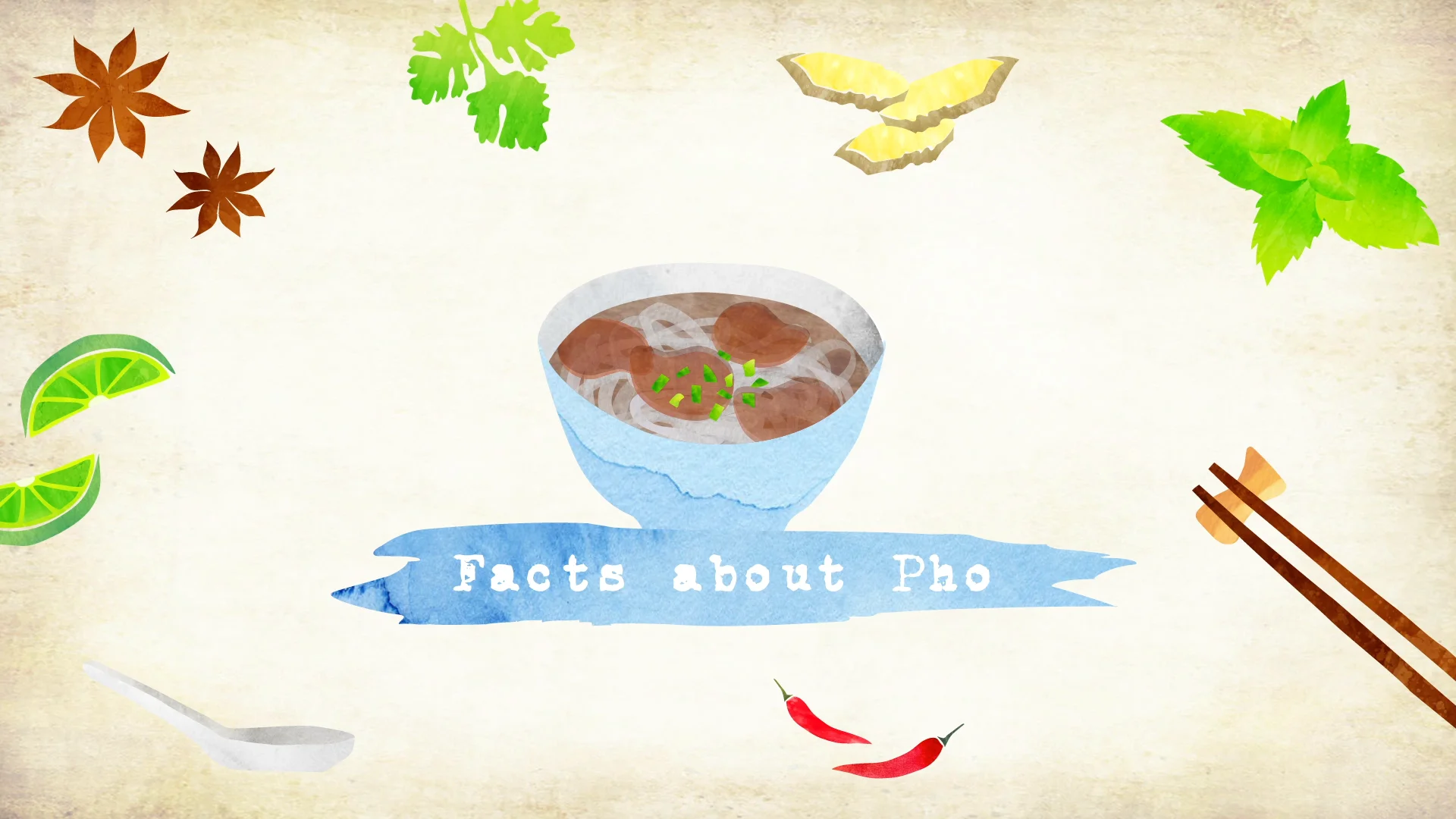 FACTS ABOUT PHO - Infographics - 2015 on Vimeo