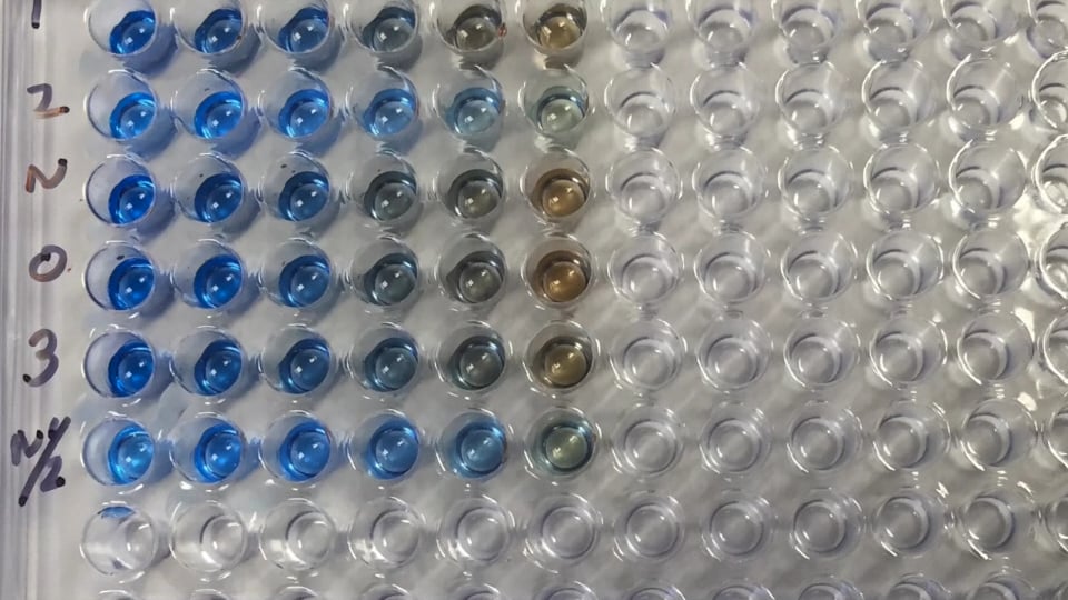 Spectrophotometer - Python Project - CU Boulder on Vimeo