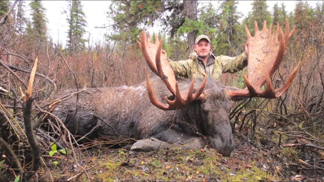 MOUNTAIN MAN ADVENTURES - Trophy Moose Hunting With Mountain Man ...