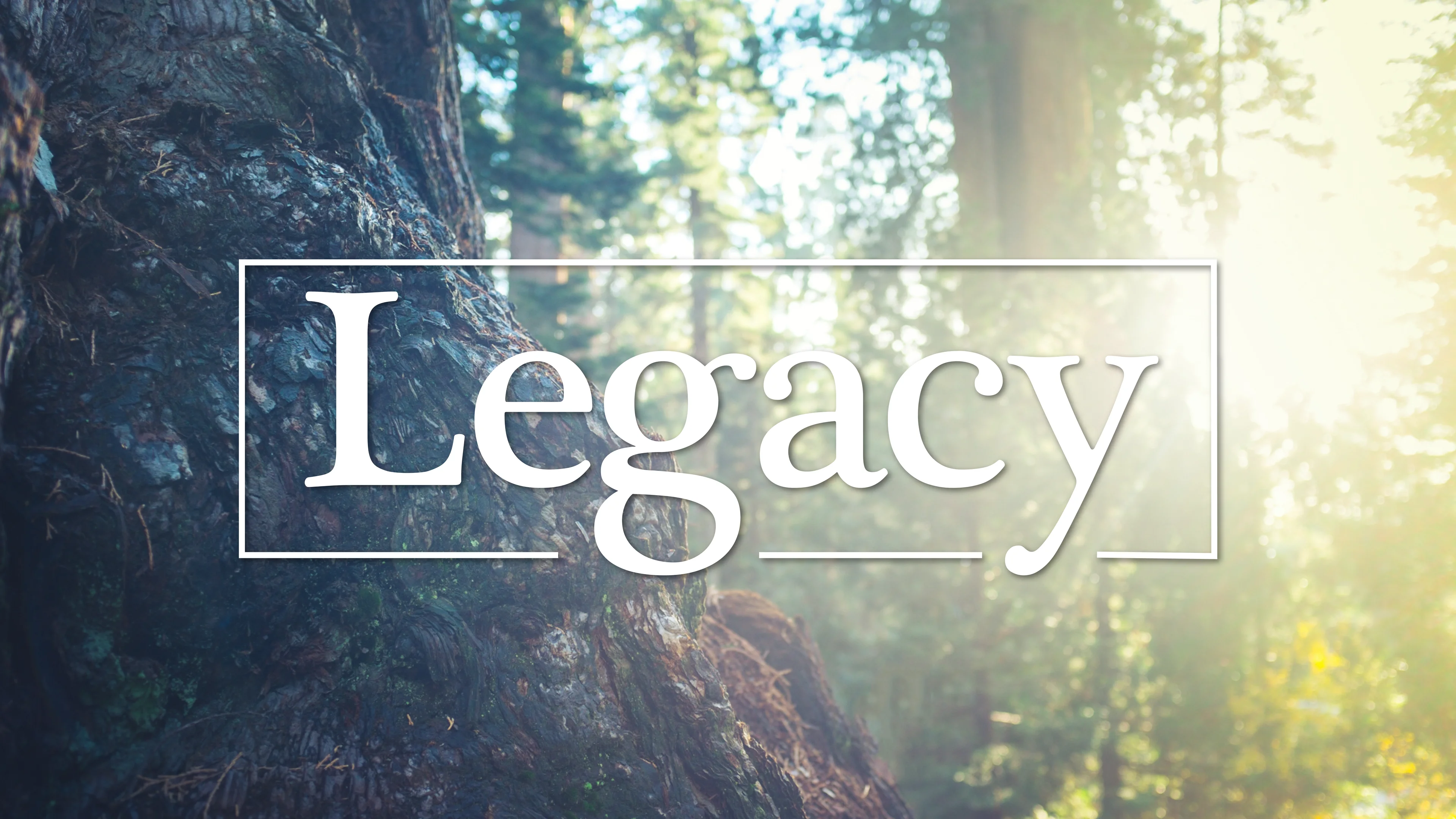 Joseph Nader on Vimeo