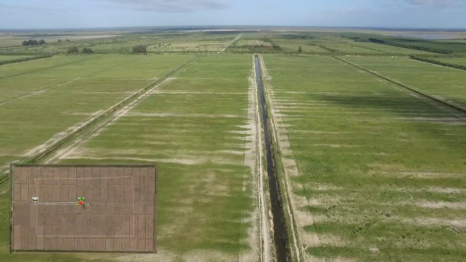 Indrio Road Farmland on Vimeo