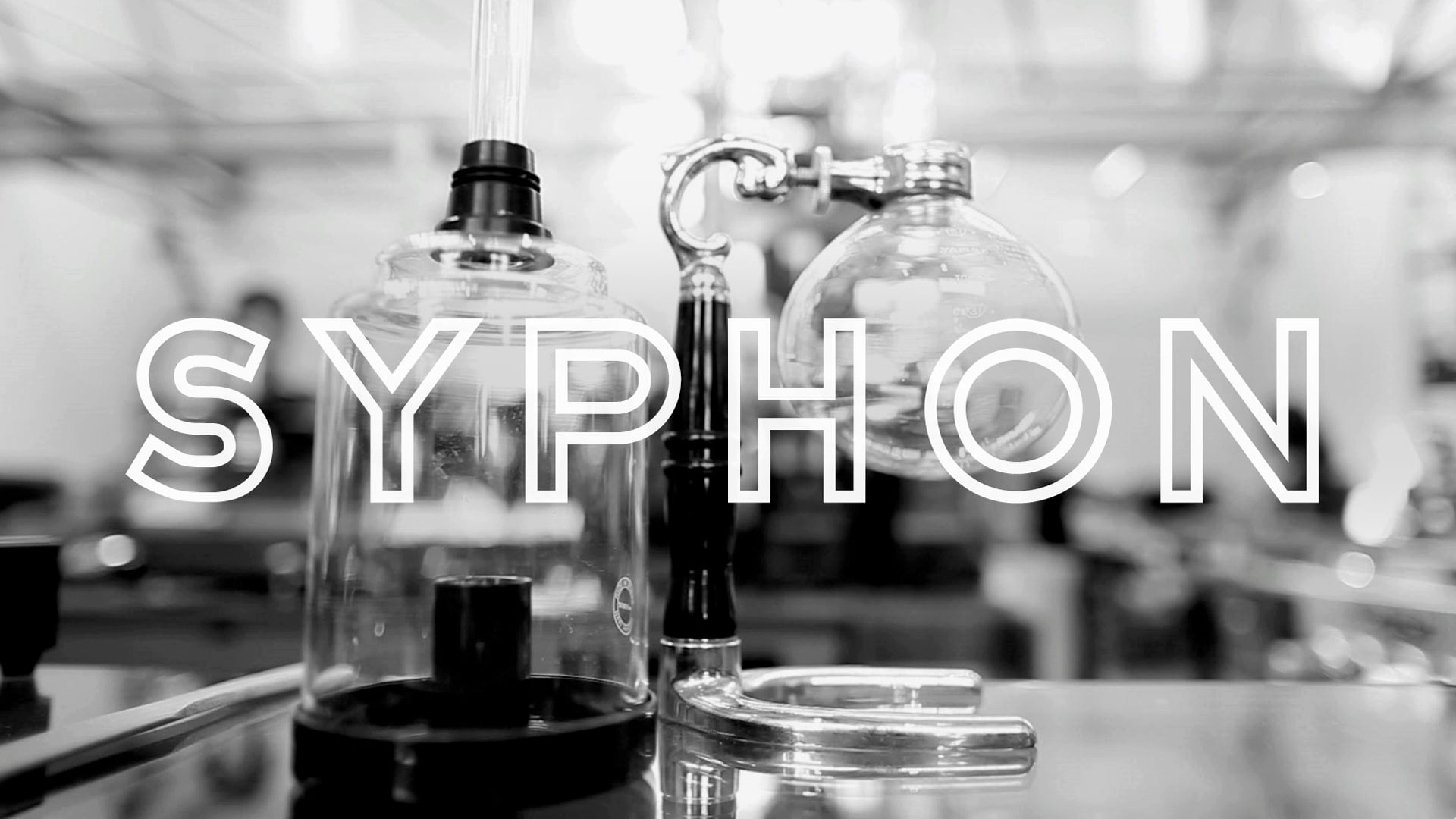 Syphon, Intelligentsia