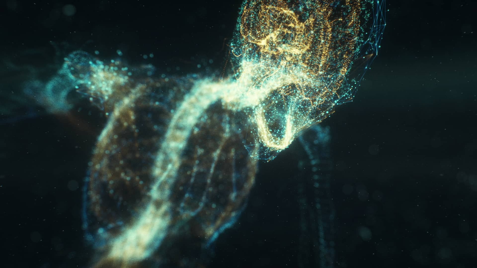 Plexus 3 Skeleton Test by Toros Kose on Vimeo