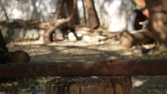 Axe Yard Wood - Free video on Pixabay