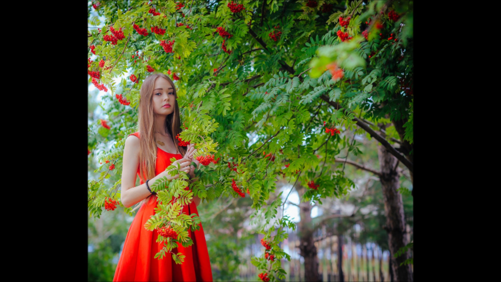 Lady in red HD on Vimeo