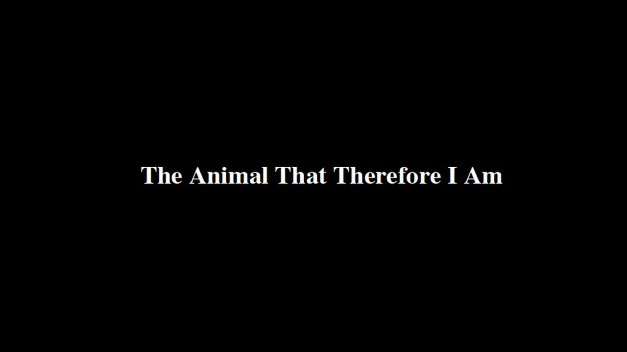 The Animal That Therefore I Am on Vimeo