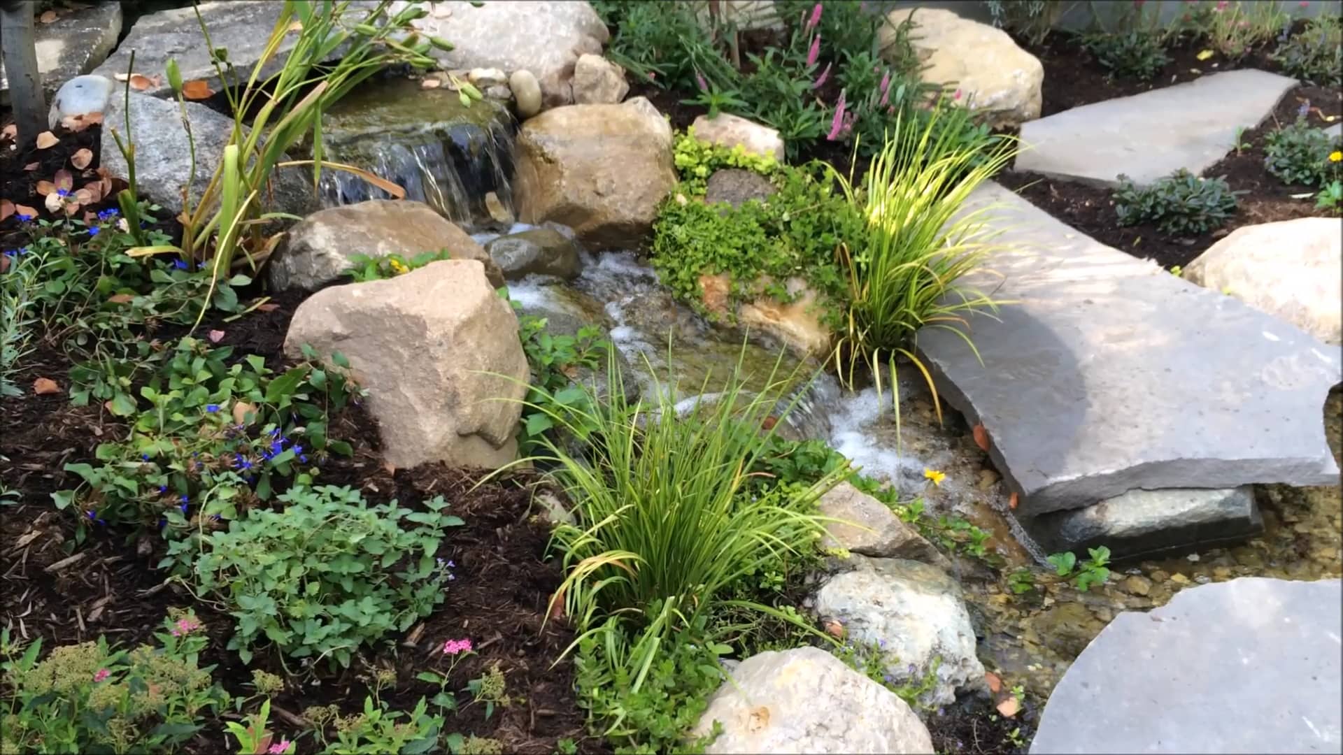 Cool Ponds New Display Feature on Vimeo