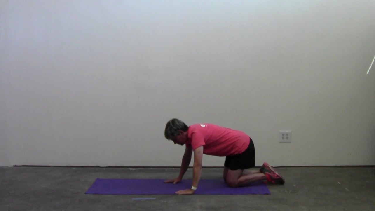 Thread the Needle/ Kneeling Trunk Rotation on Vimeo