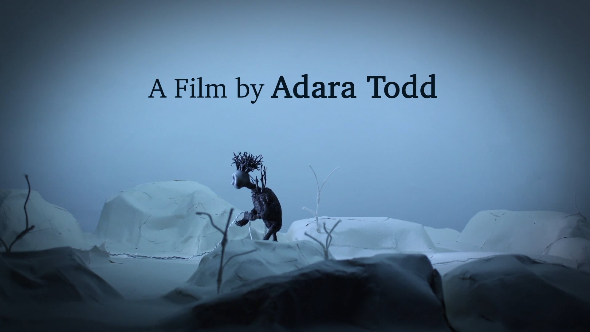 Twiddly Things Teaser on Vimeo