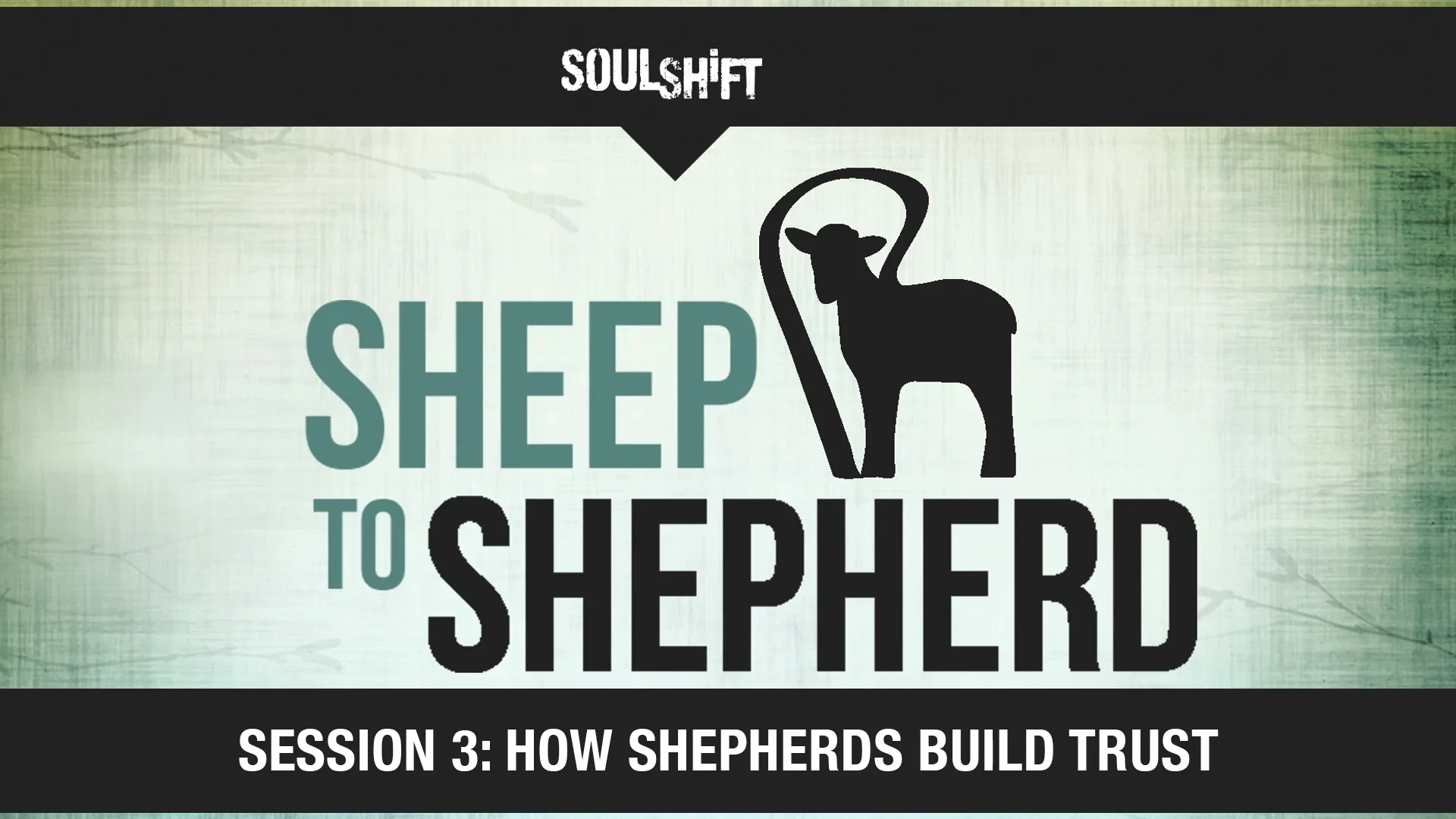 Group Study | How Shepherds Build Trust | Sheep to Shepherd Session 3 ...