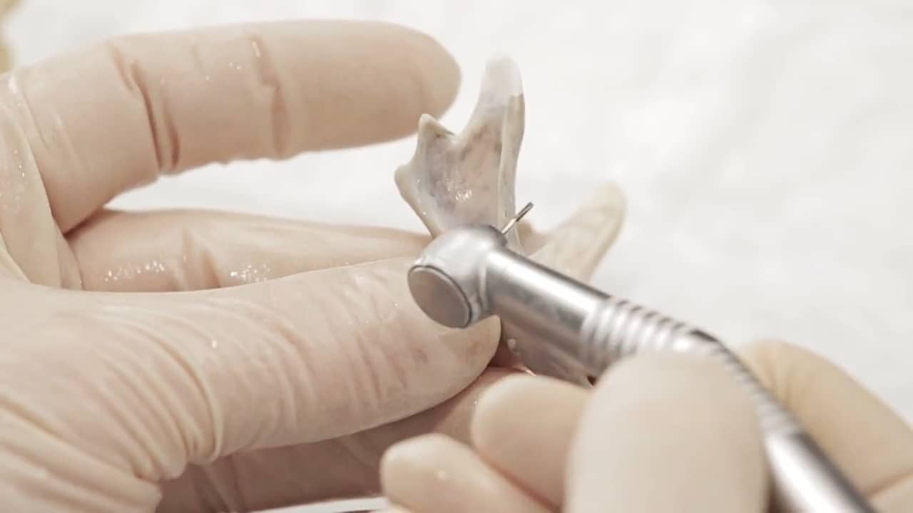 Tooth Sectioning Cat Part 3 Mandibular Carnassial on Vimeo