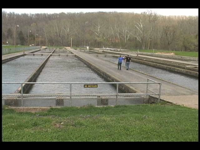 Bennett Springs State Fish Hatchery on Vimeo