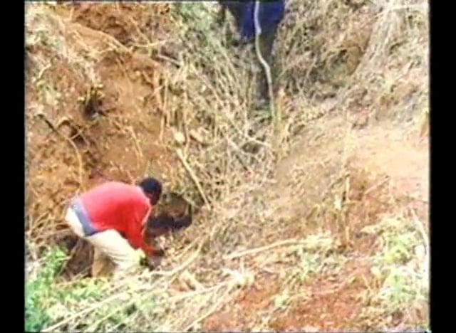 Simple Techniques of Terrace Layout - TheWaterChannel