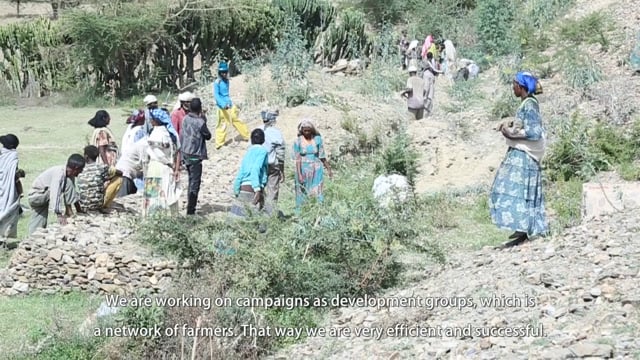 Harvesting 'Road Water' in Amhara, Tigray - TheWaterChannel