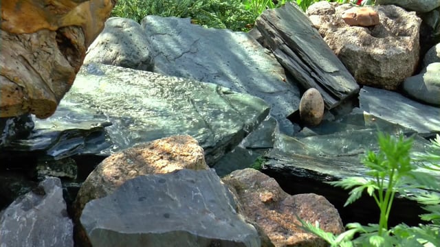 Stream Stones Water - Free video on Pixabay