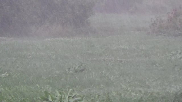 Rain Thunderstorm Shower - Free video on Pixabay