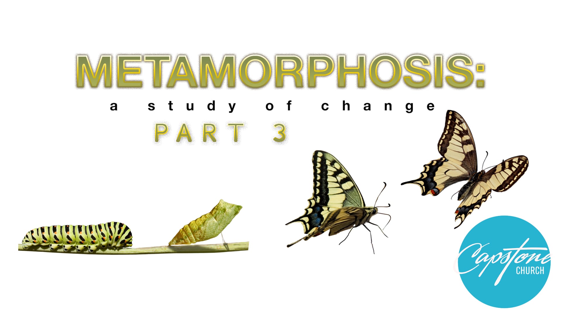 Metamorphosis: A Study Of Change // Part 3 // August 7, 2016 ...