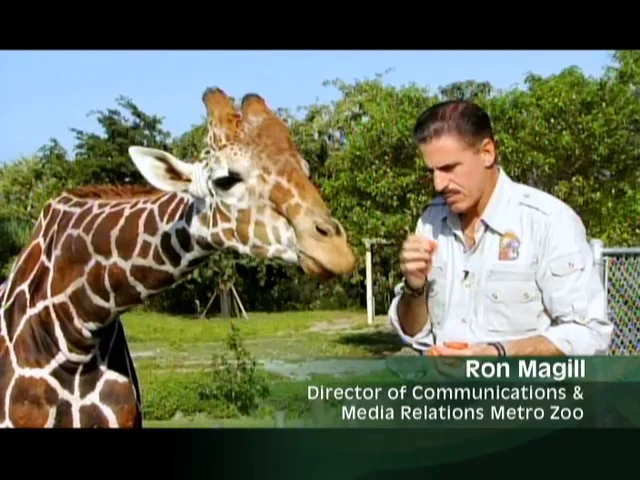 Ron Magill of Zoo Miami Interview on Vimeo