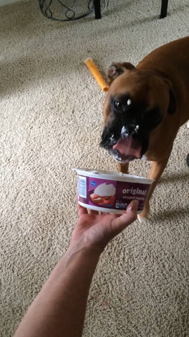 Retarded boxer on Vimeo