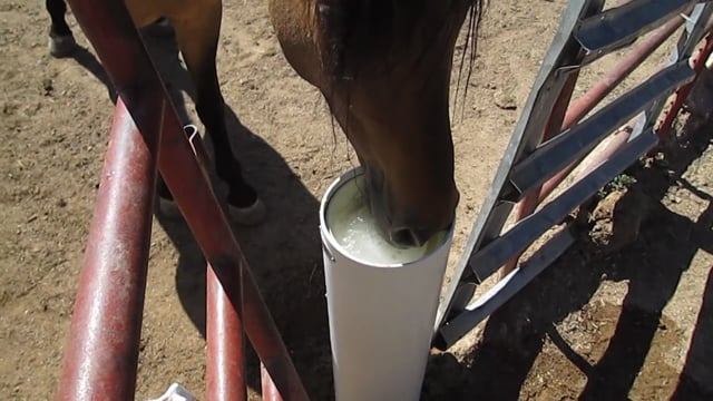 Drinking Post Waterer on Vimeo