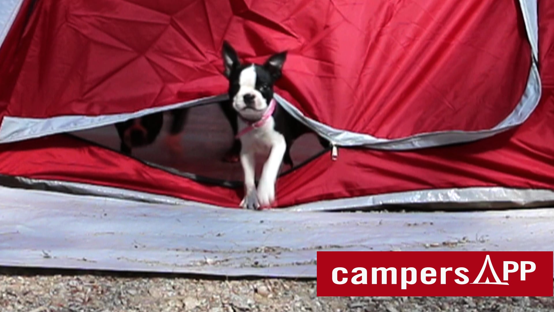 Campground Alerts | Powered by campersAPP