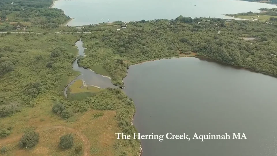 Wampanoag Tribe of Aquinnah: Herring Creek Fish Counter on Vimeo