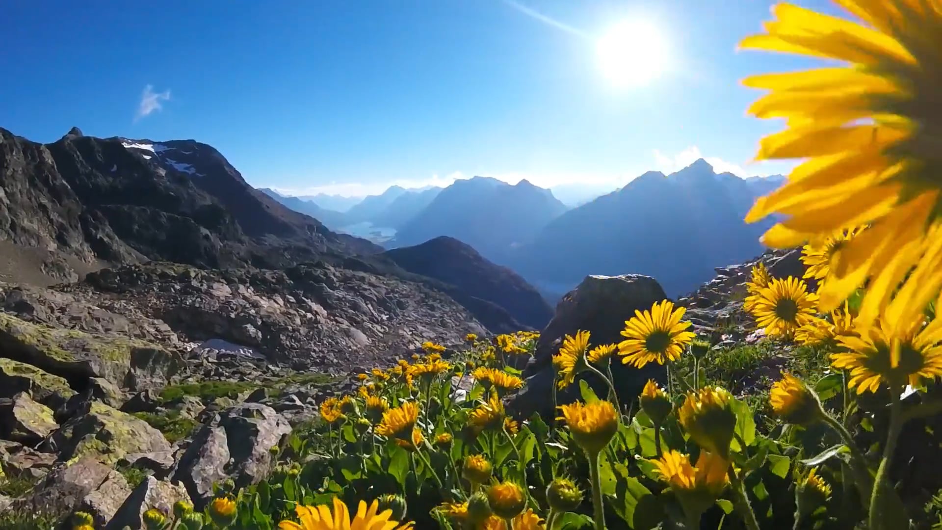 St. Moritz training camp '16 on Vimeo