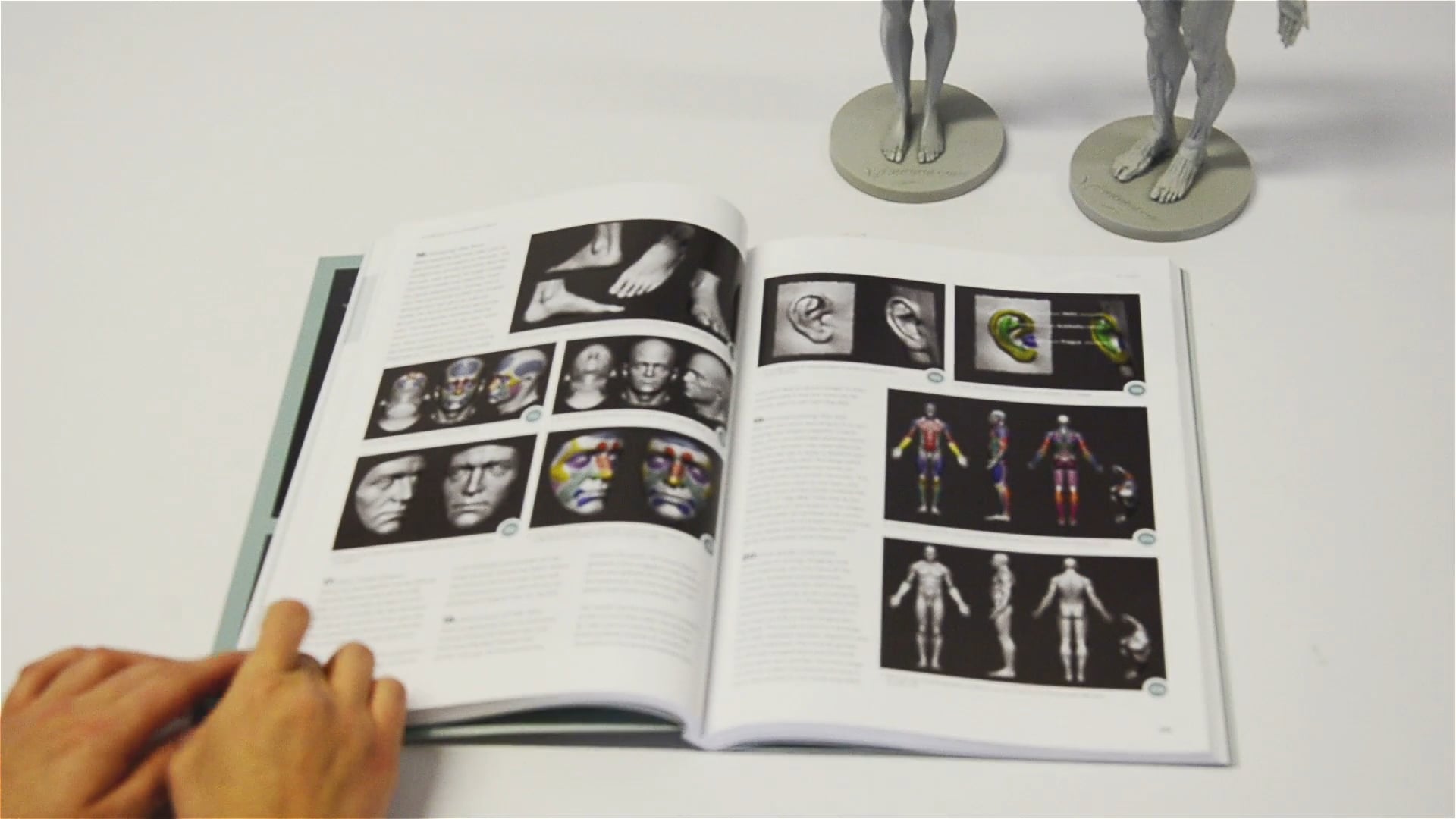 Look inside! Anatomy for 3D Artists by 3dtotal Publishing on Vimeo