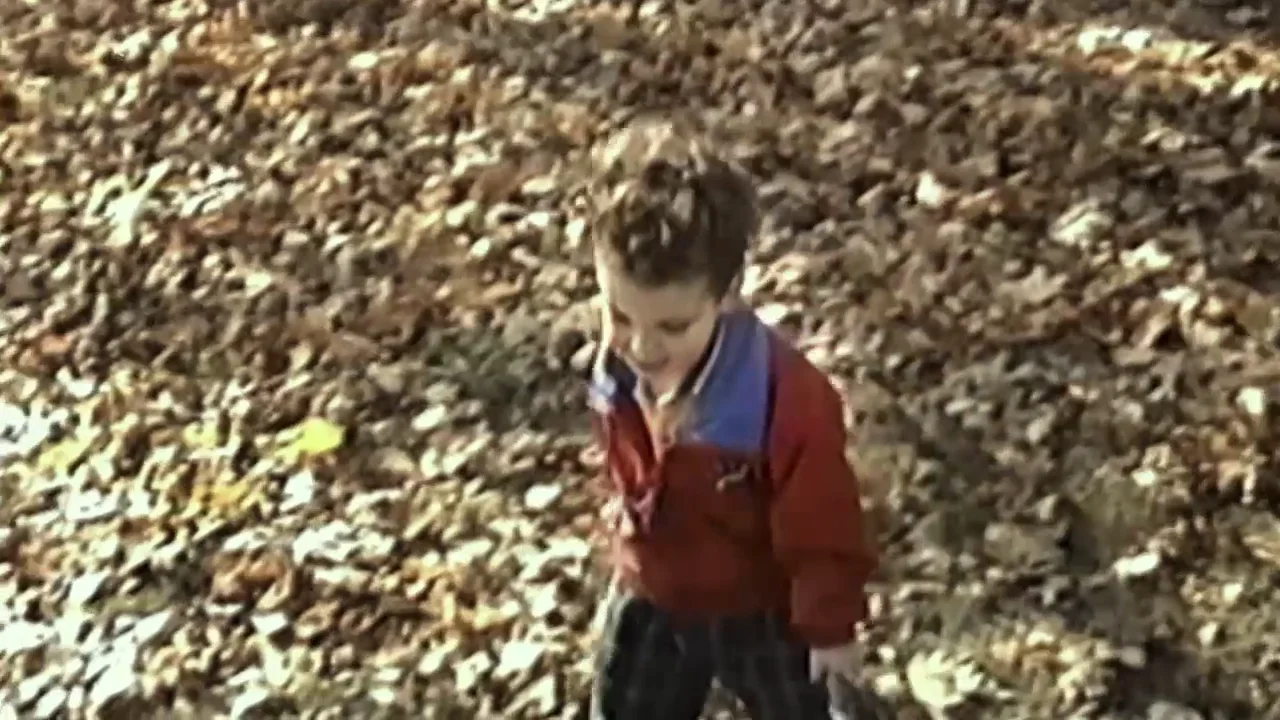 Life Animated V5 on Vimeo
