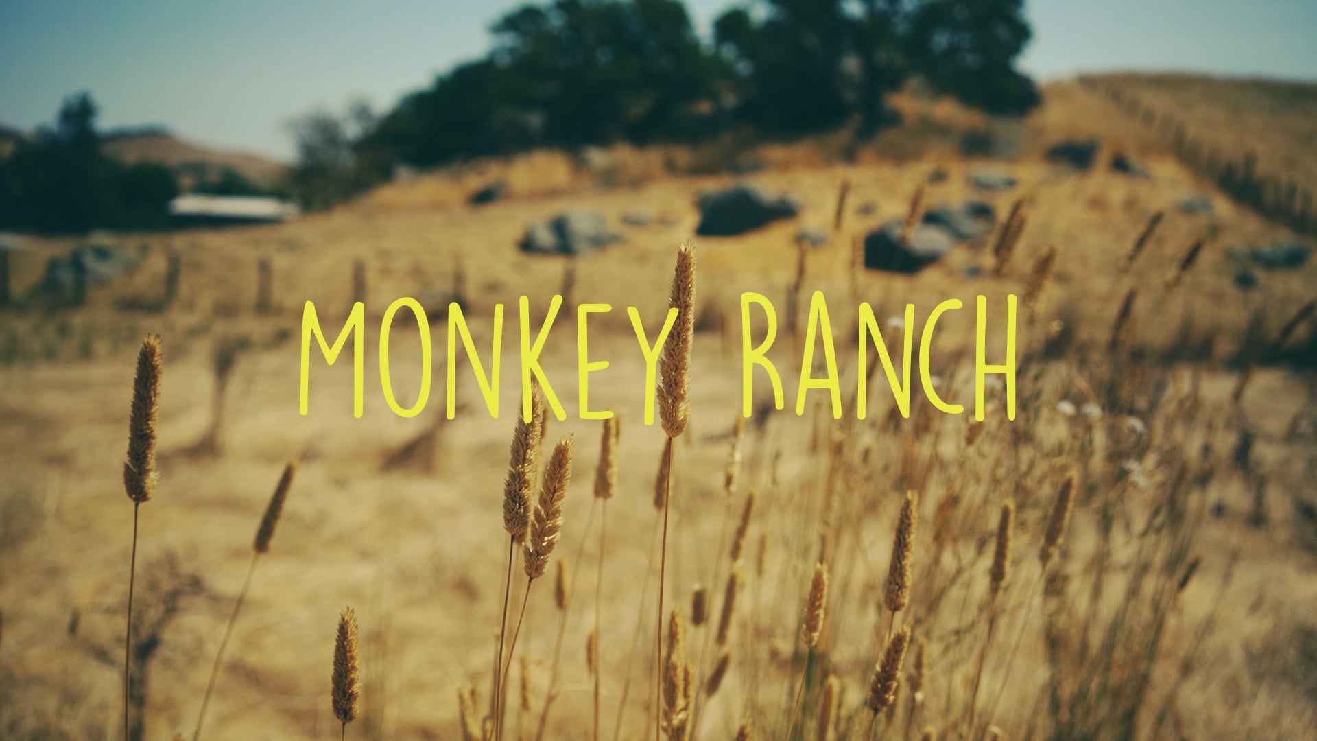 Monkey Ranch on Vimeo