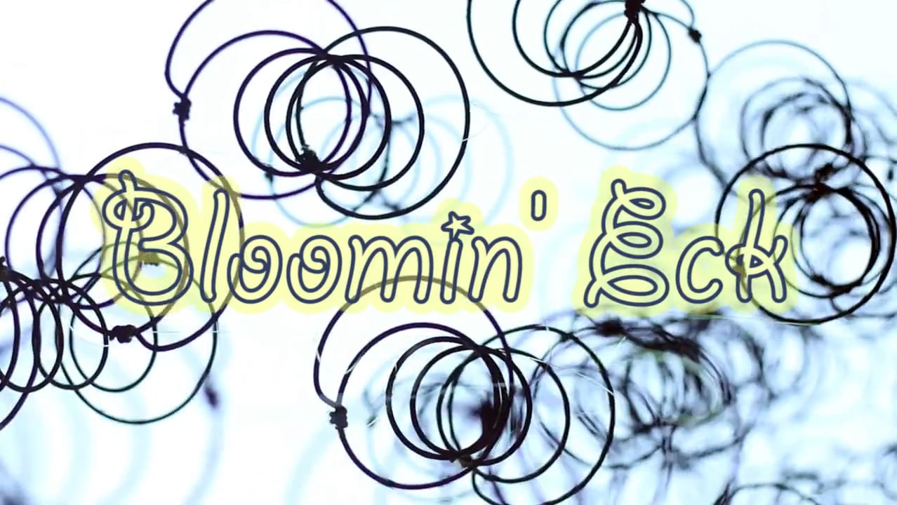 Bloomin 'Eck on Vimeo