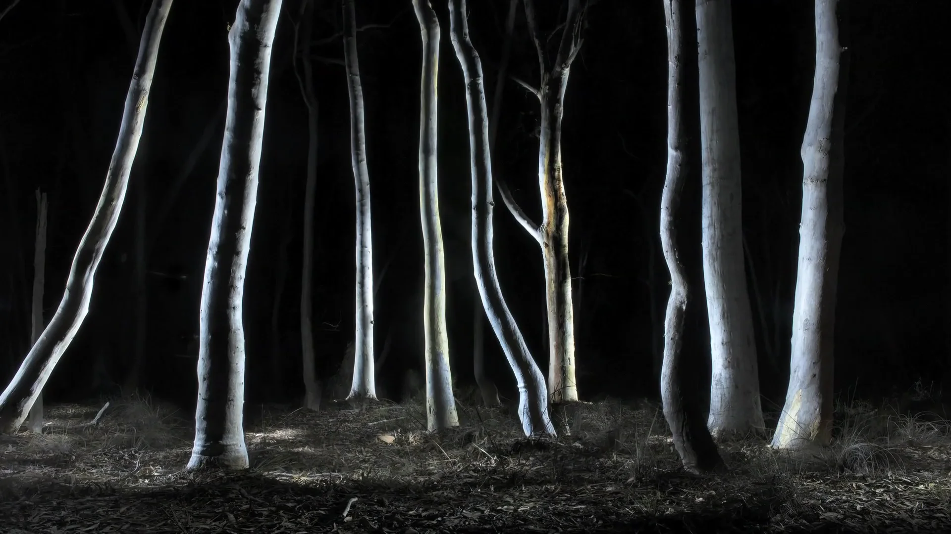 The Light Painter at Hill End - Peter Solness on Vimeo