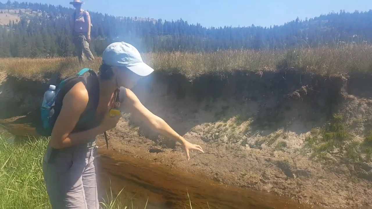 Stream Channel Degradation in the Meadow on Vimeo