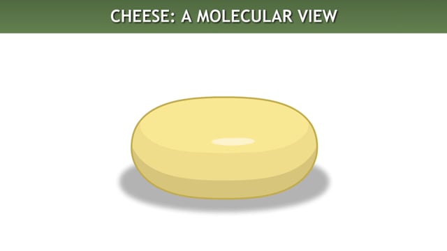 Cheese: a molecular view — Science Learning Hub