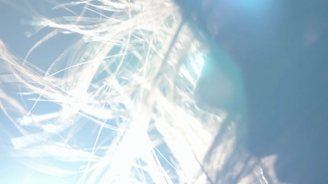 Hershey's - York Environmental Connection