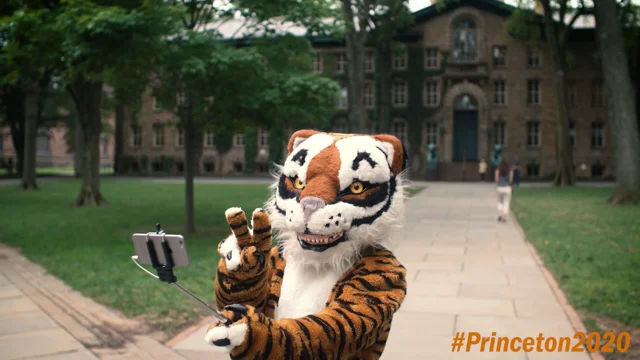Princeton University Tigers