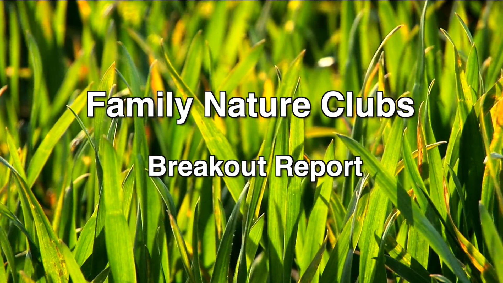 Children and Nature: Building a Nature-Rich Life - Nature-Rich ...
