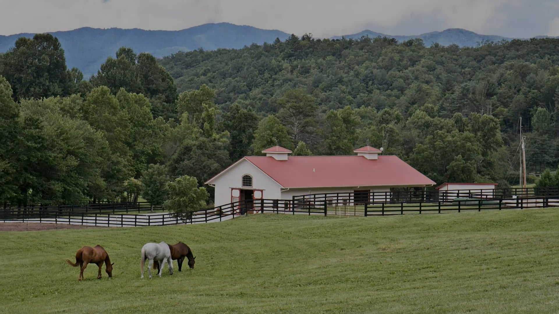 Hawk Hill Farm on Vimeo